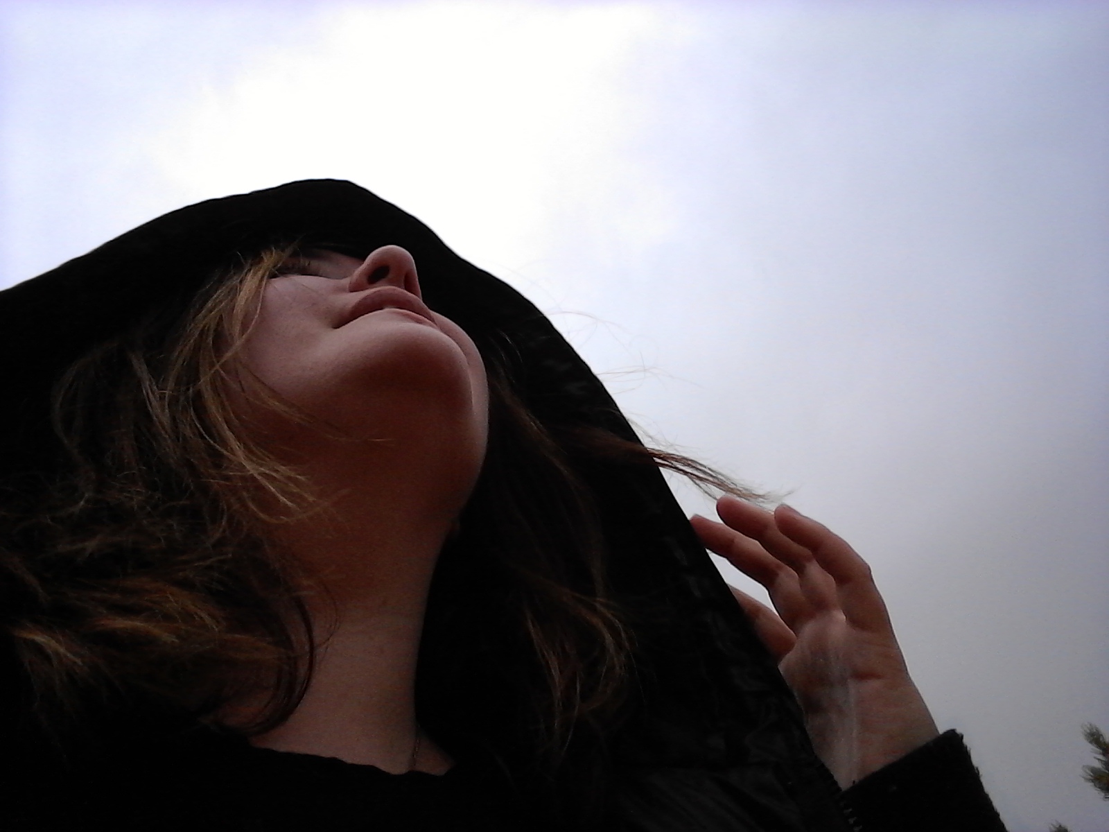 Images | Laura Kilty