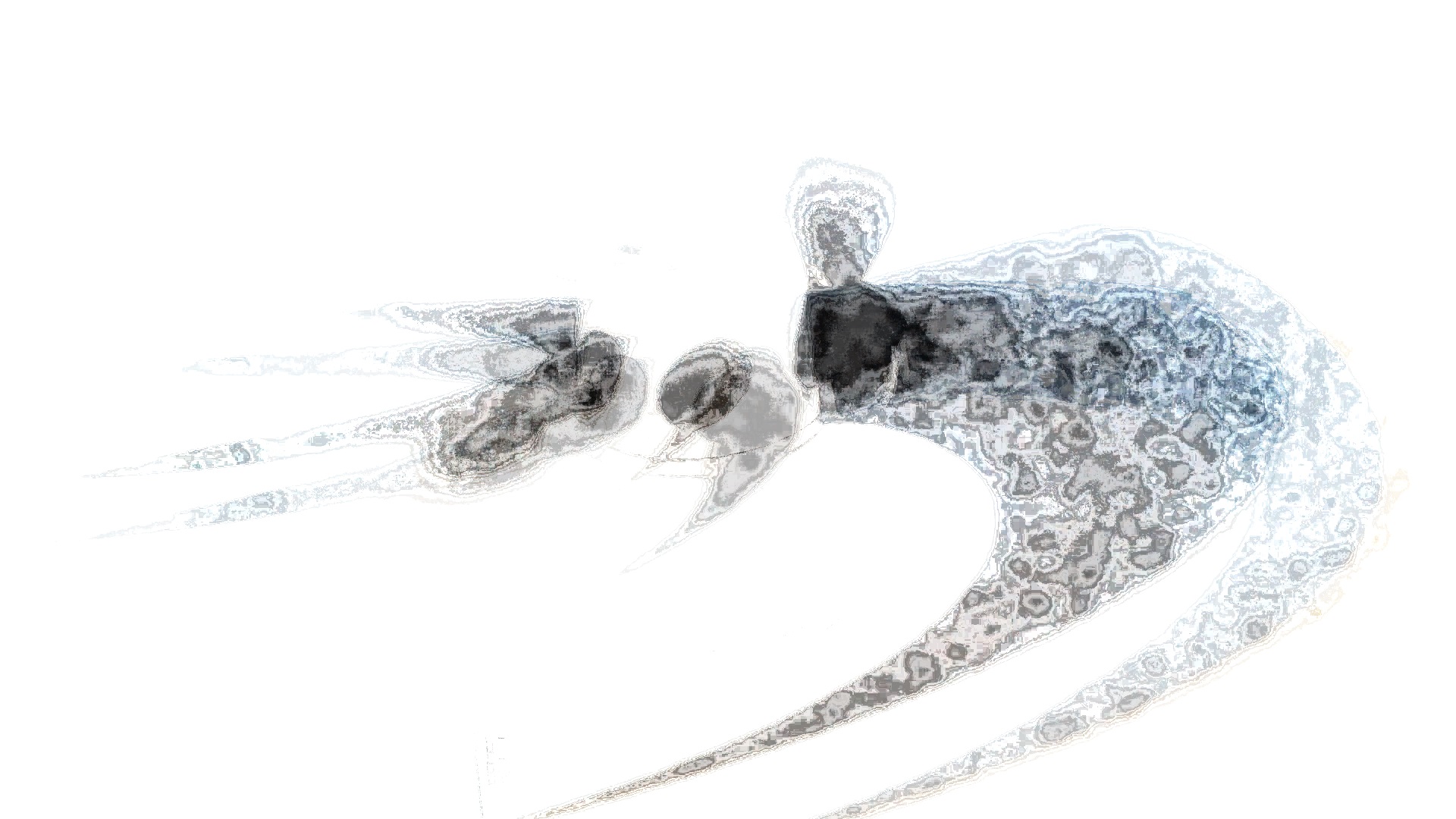 Images | Laura Kilty